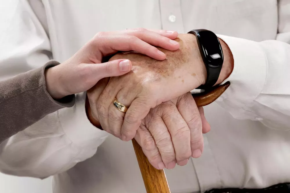 WanderGuard BLUE Wander Management System